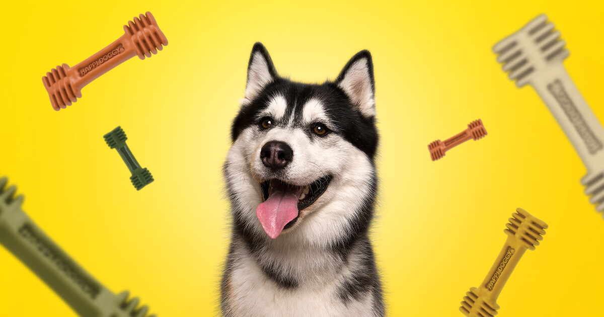 Happi Doggy | Award-winning Dog Dental Chew